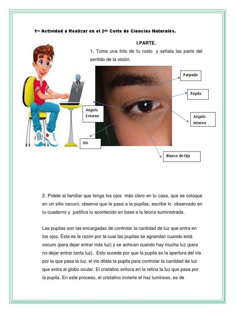 Análisis del funcionamiento del sentido de la visión y el tacto a ...