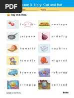 Cat Bat Mat Rat Hat Pat Catch Fan Van Can Man Pan | PDF