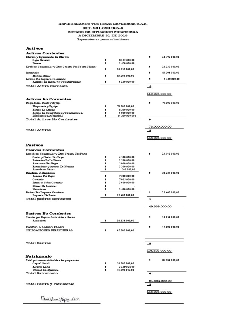 Estados Financieros 2019 | PDF | Impuestos | Contabilidad