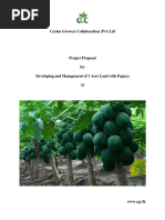 Pack House Design for Fresh Produce | PDF | Vegetables | Sewage Treatment