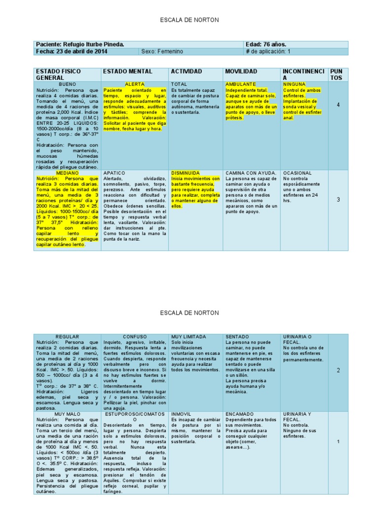 Paciente Escala de Norton | PDF | Enfermedades y trastornos | Medicina ...
