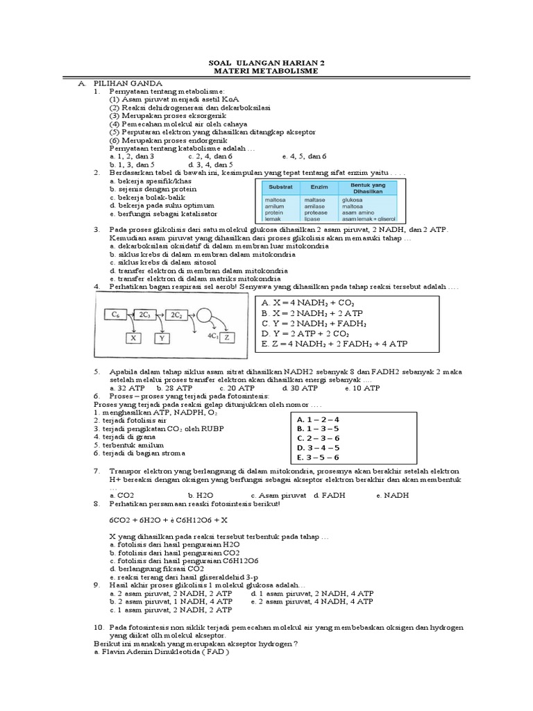 Metabolisme Soal Un | PDF