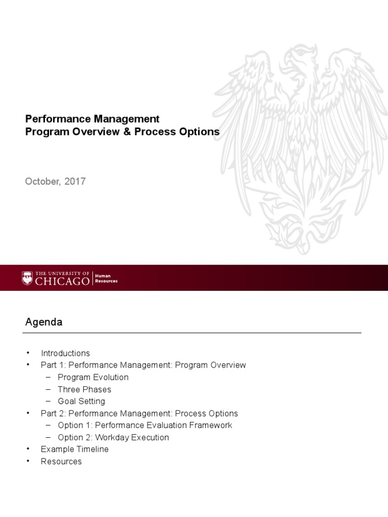 Performance Management Program Overview and Process Options | PDF | Competence (Human Resources ...