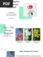 Morfologi dan Budidaya Bunga Bakung | PDF | Griya & Taman