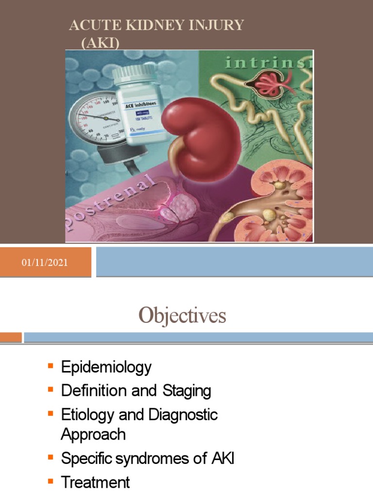 Acute Kidney Injury (AKI) | PDF | Chronic Kidney Disease | Creatinine