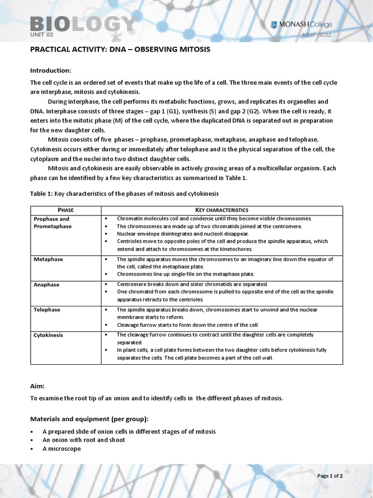 1 - Observing Mitosis First Hand Data Exercise PDF | PDF | Mitosis ...