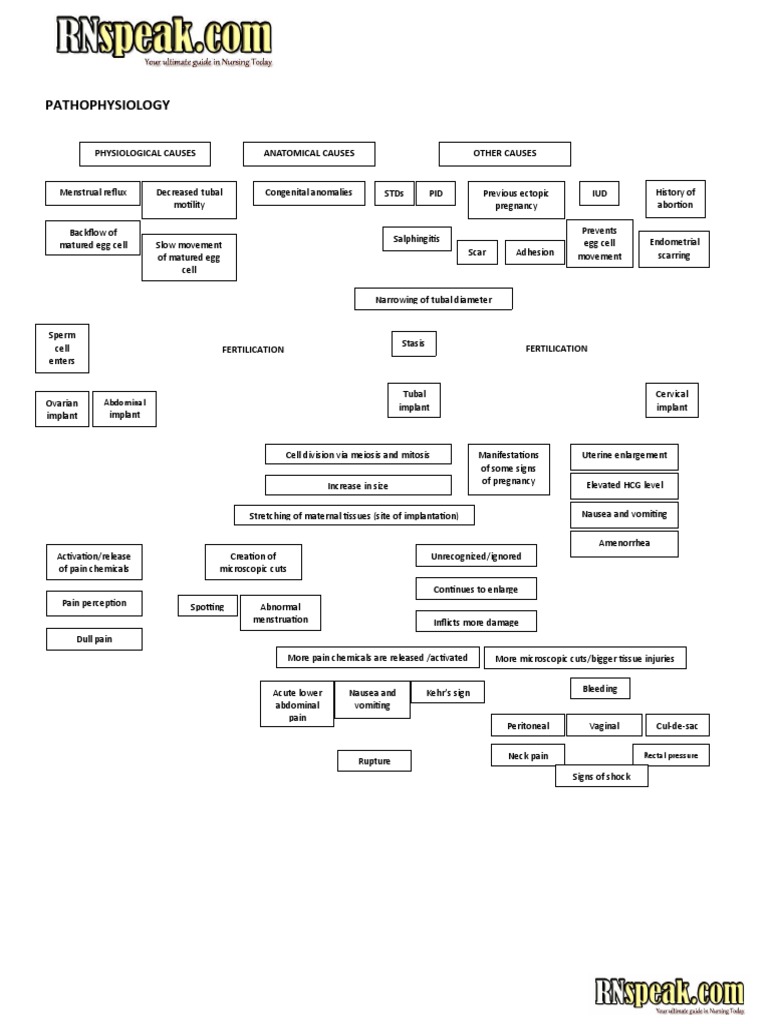 Ectopic Pregnancy Pathophysiology | PDF | Women's Health | Women's Health