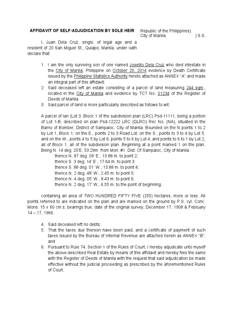 Affidavit of Self-Adjudication | PDF | Public Law | Civil Law (Common Law)