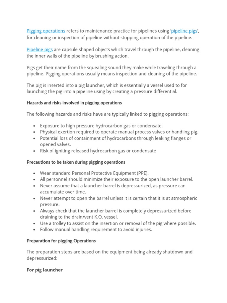 Pigging Operations Pipeline Pigs | PDF | Pipeline Transport | Gases