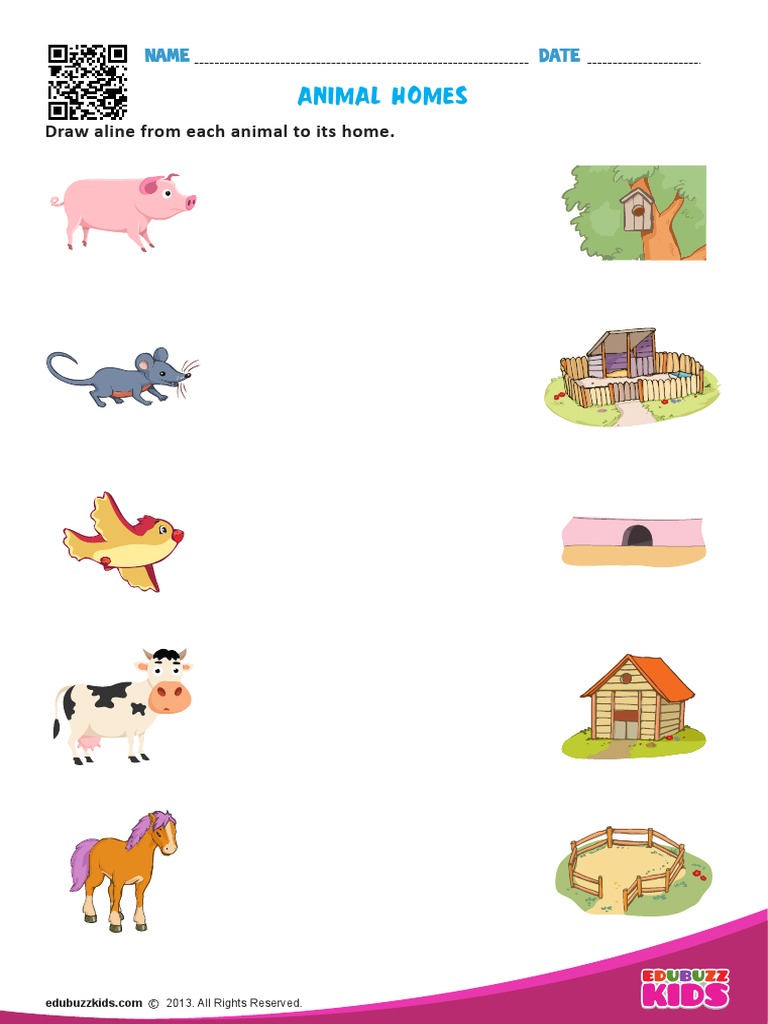 2 Animal-Homes | PDF