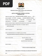 Wealth Declaration Form | PDF