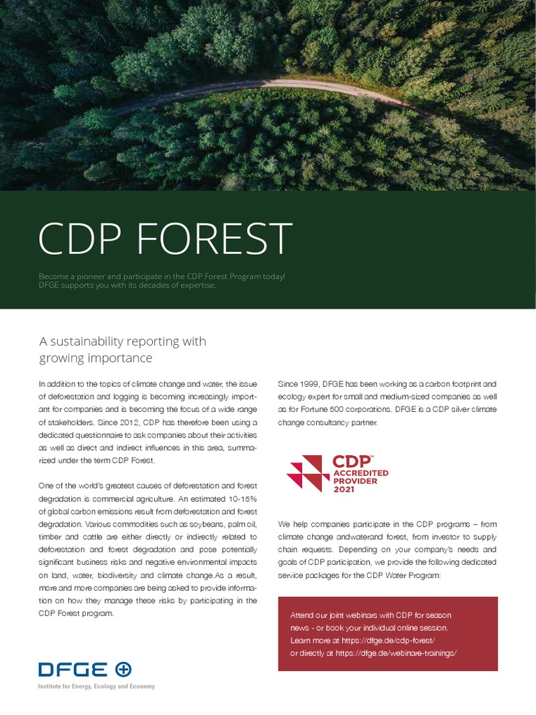 2021 DFGE CDP Forest Eng Web PDF | PDF | Deforestation | Environment