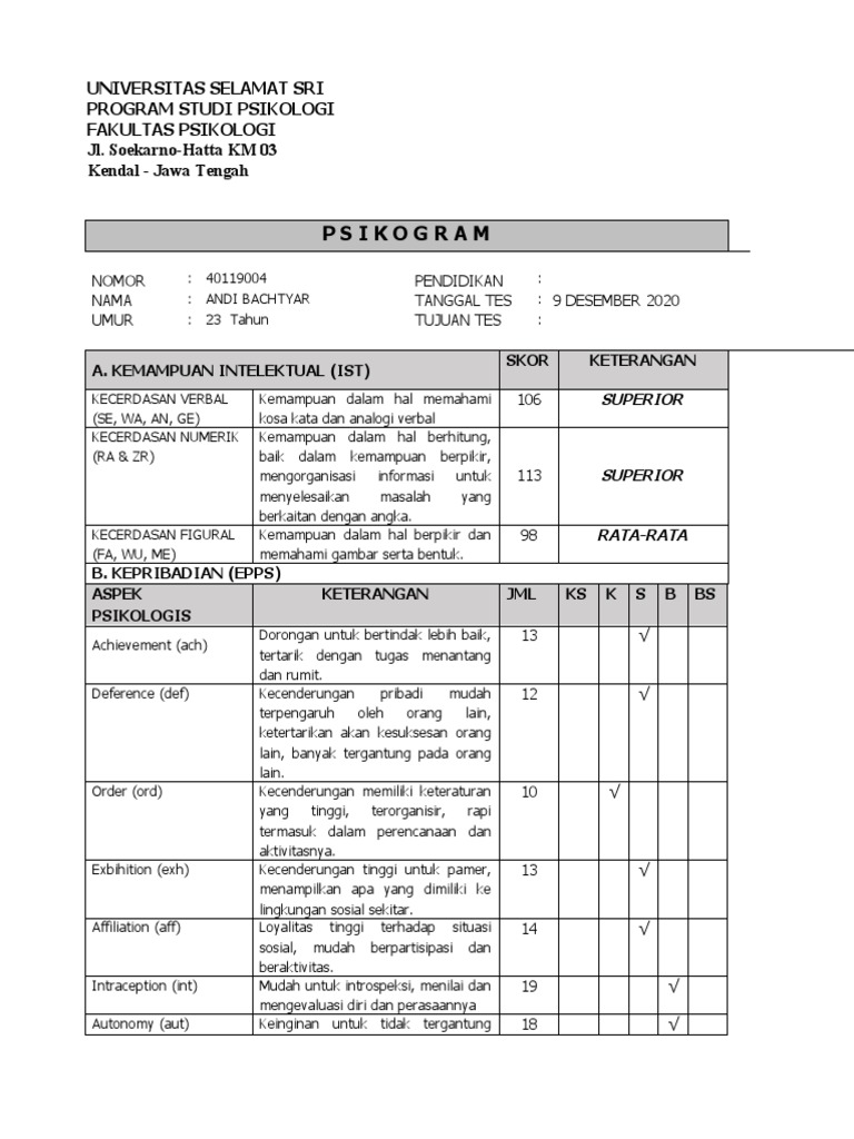 Psikogram Psikodiagnostika AndiB | PDF