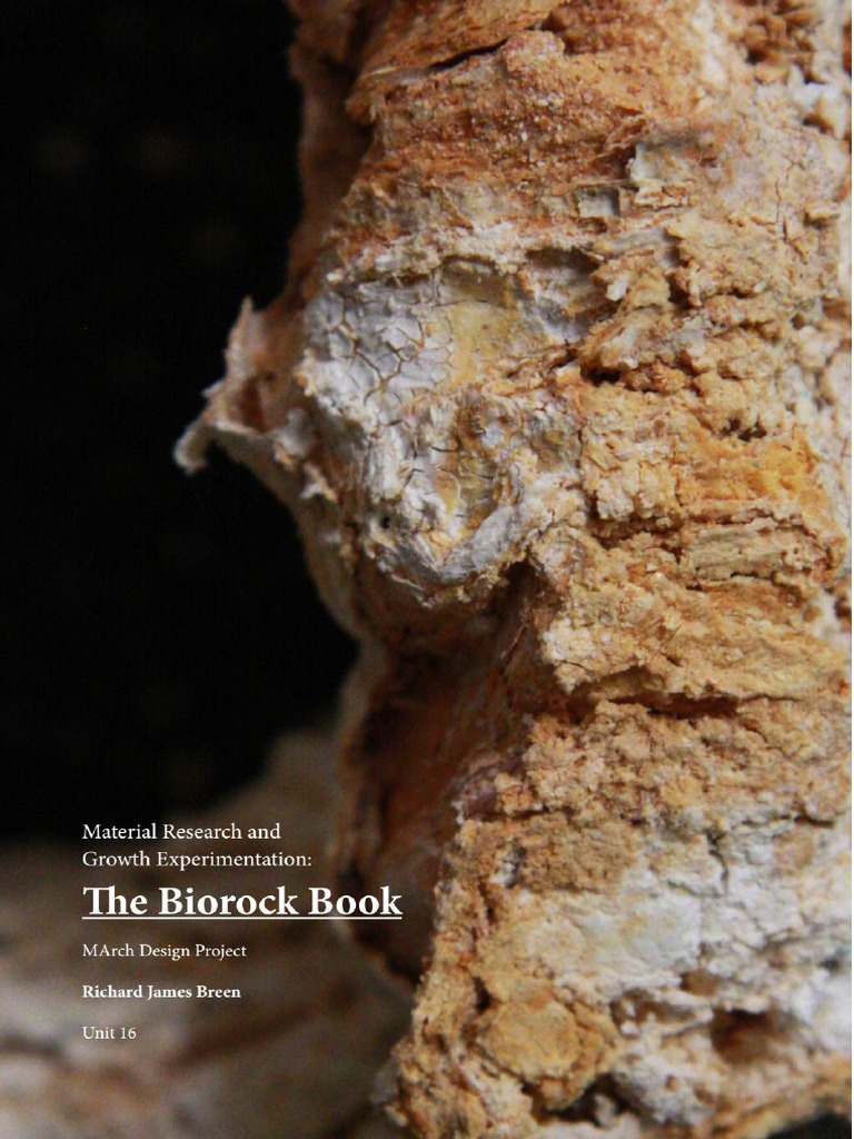 Vebuka The Biorock Book - MArch Architecture - Unit 16 - Bartlett ...