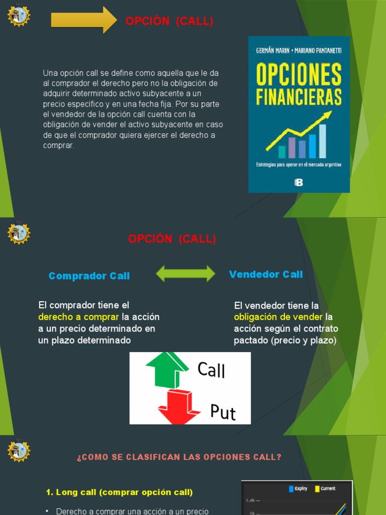 Opcion Call y Put | PDF | Opción (Finanzas) | Microeconomía