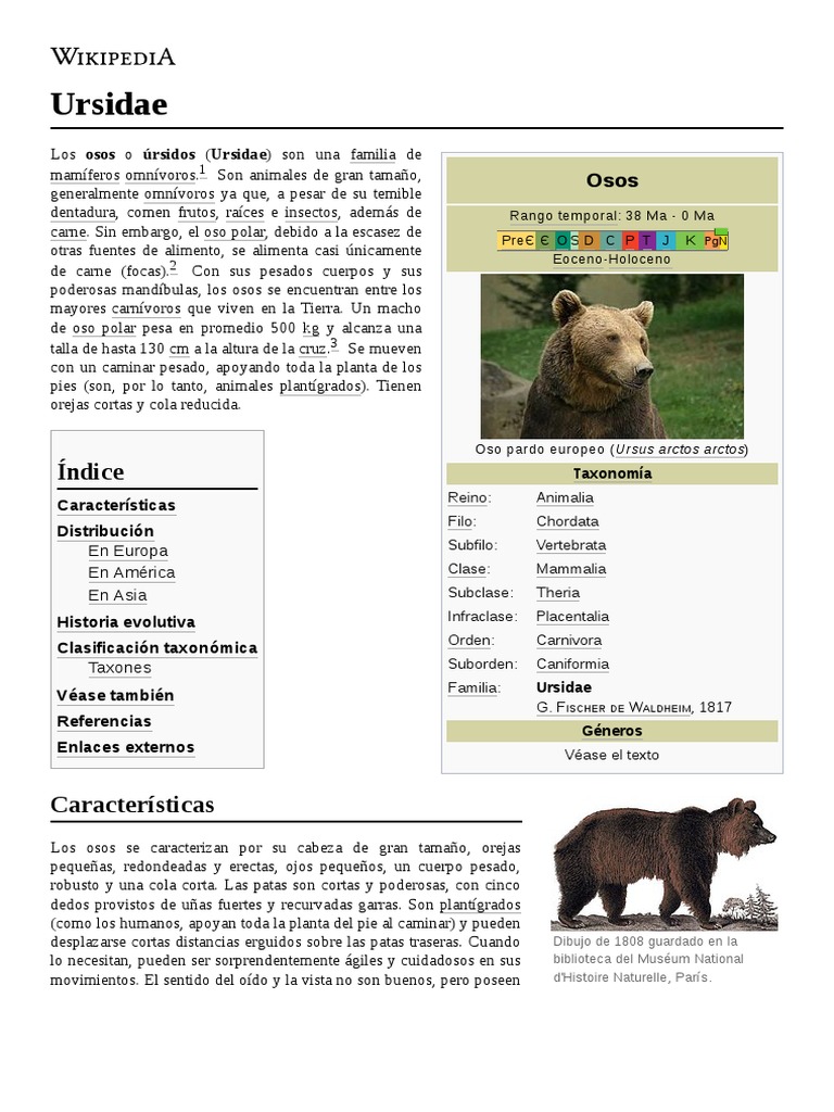 Ursidae | PDF | Osos | Depredadores