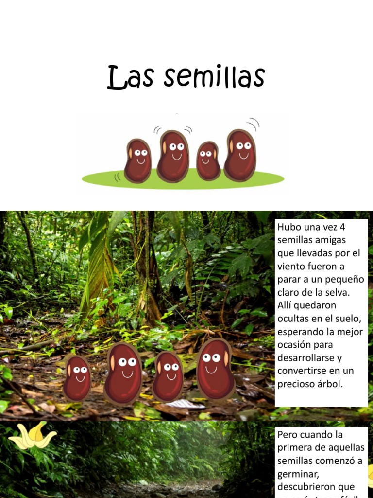 Cuento - Las Semillas | PDF | Violencia