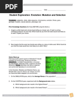 Evolution: Mutation and Selection Guide | PDF | Fitness (Biology ...
