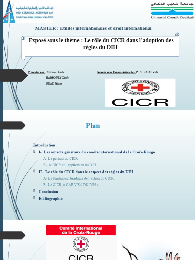 Cicr PPT Final | PDF | Comité international de la Croix-Rouge | Droit ...