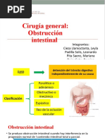 2 Obstruccion Intestinal Por Bridas y Adherencias | PDF | Medicina ...