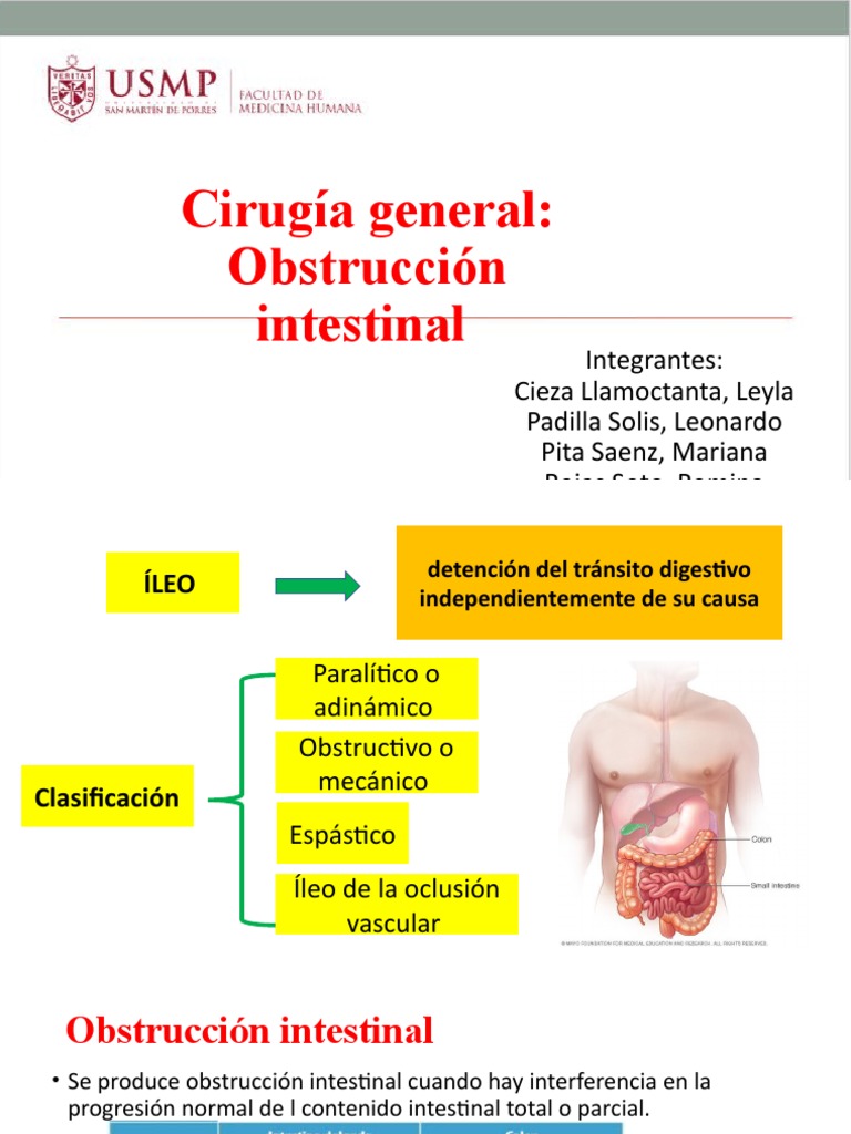 Clasificación y fisiopatología de obstrucción intestinal | PDF