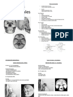Proyecciones RX de Oído y Mastoides | PDF | Oído | Otología