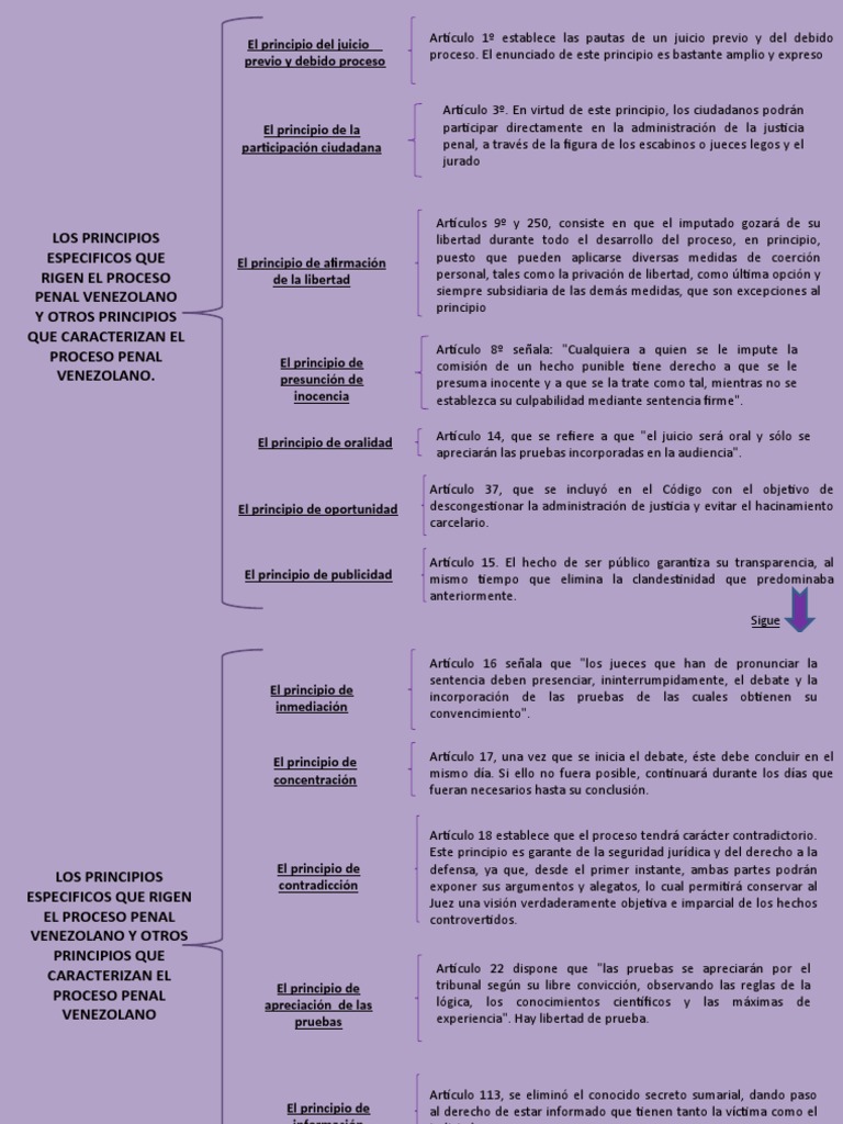 Esquema de Los Principios Del Proceso Penal | PDF | Procedimiento ...