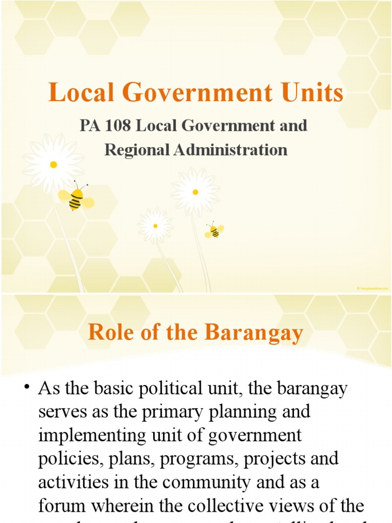 Local Government | PDF | Government | Policy