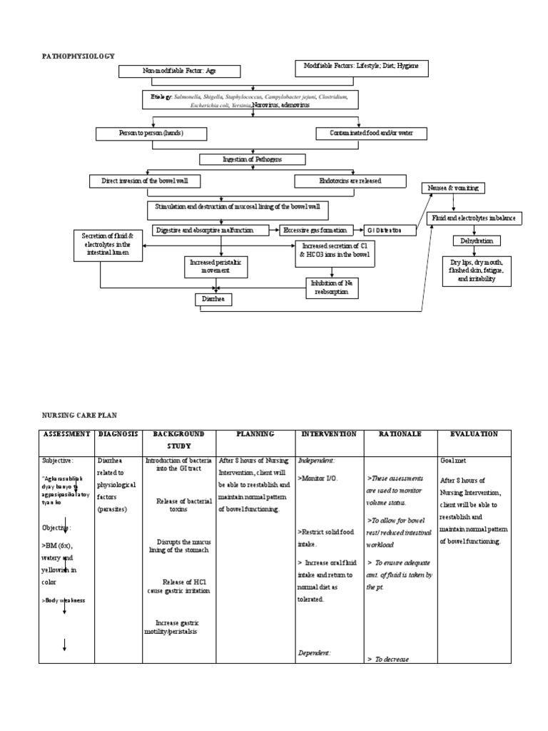 Pathophysiology: Etiology: Salmonella, Shigella, Staphylococcus ...