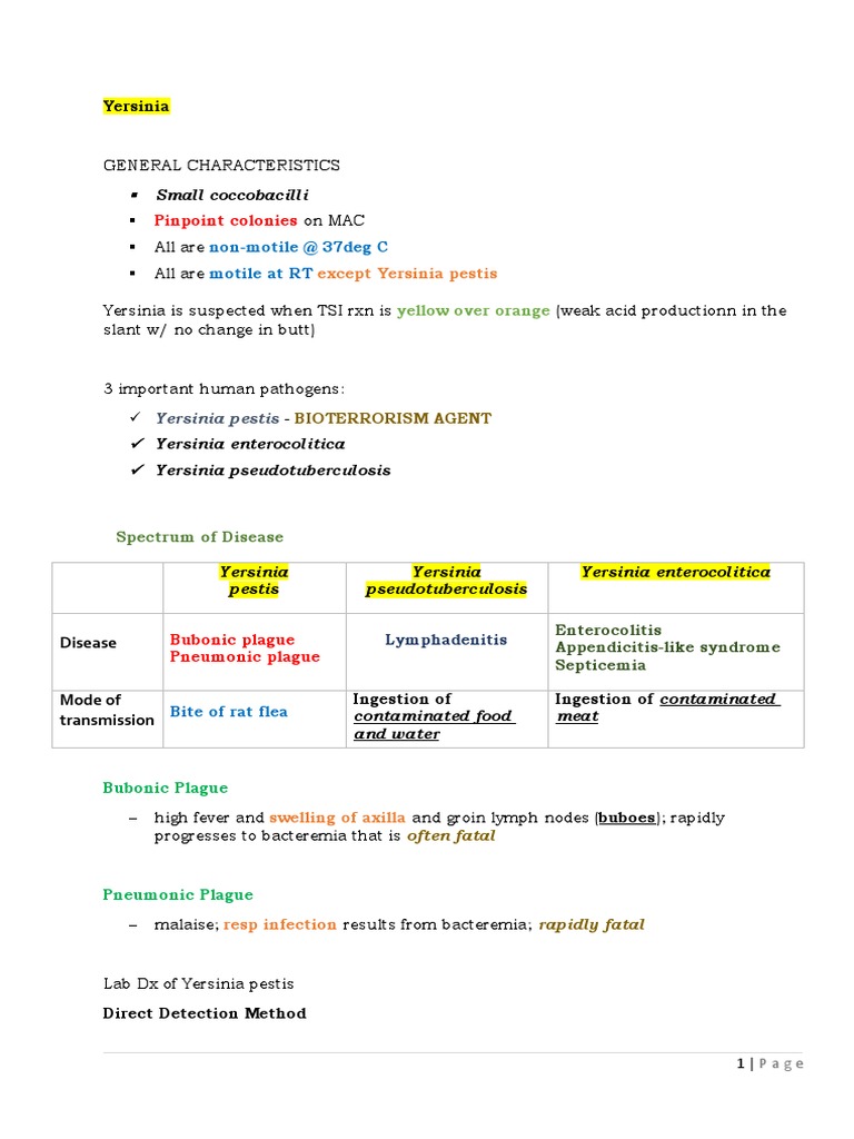 Small Coccobacilli: Pinpoint Colonies | PDF | Bacteria | Medical ...