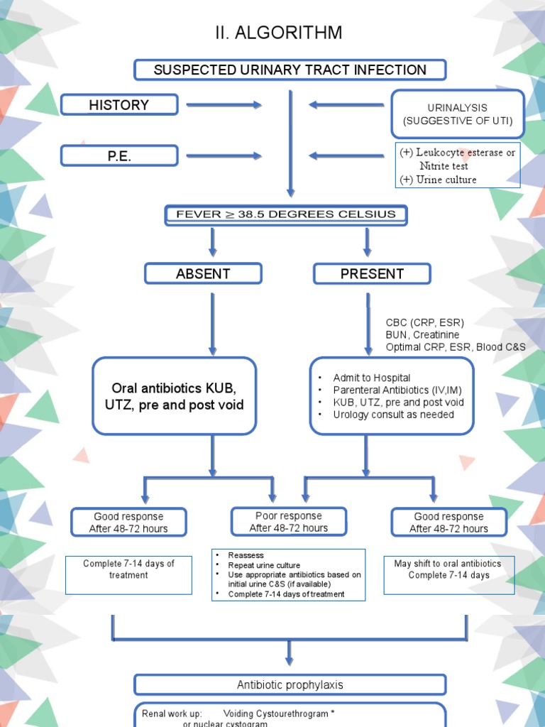 Ii. Algorithm: Suspected Urinary Tract Infection History | PDF ...