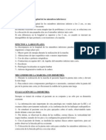 Dismetría de MMII: Diagnóstico y Técnicas | PDF | Pelvis | Sistema ...