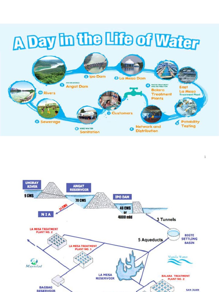 LECTURE 1 Basic Principles of The Plumbing Code | PDF | Ph | Plumbing
