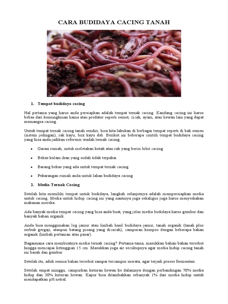 Cara Budidaya Cacing Tanah | PDF