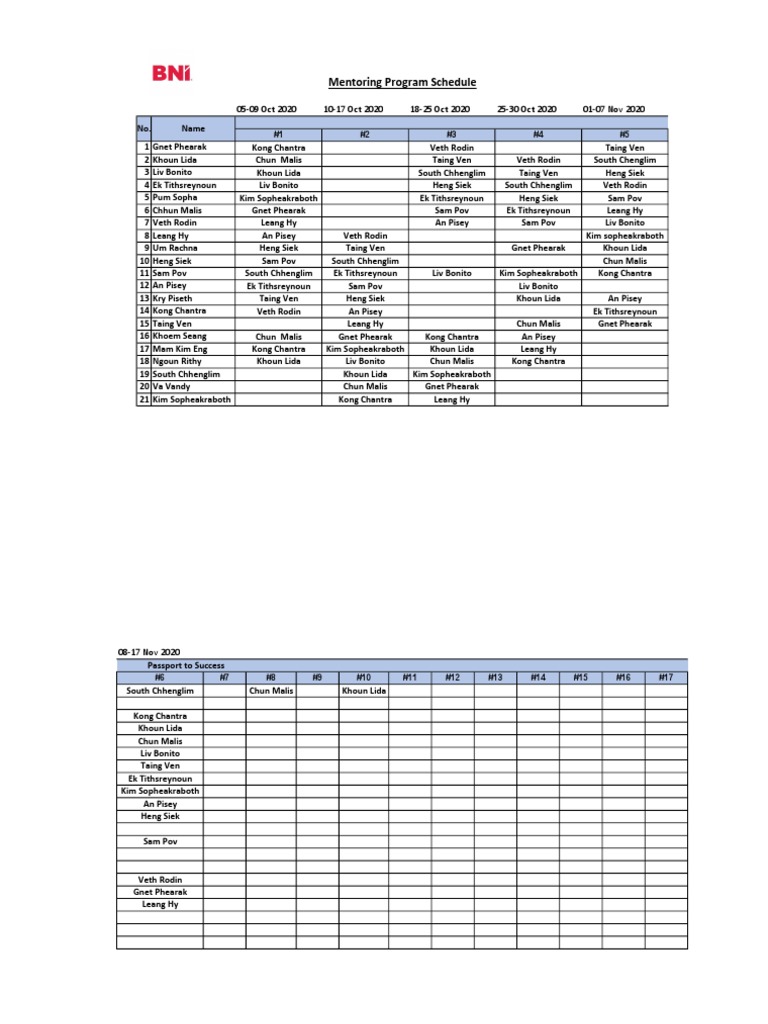 Mentoring Program Schedule | PDF