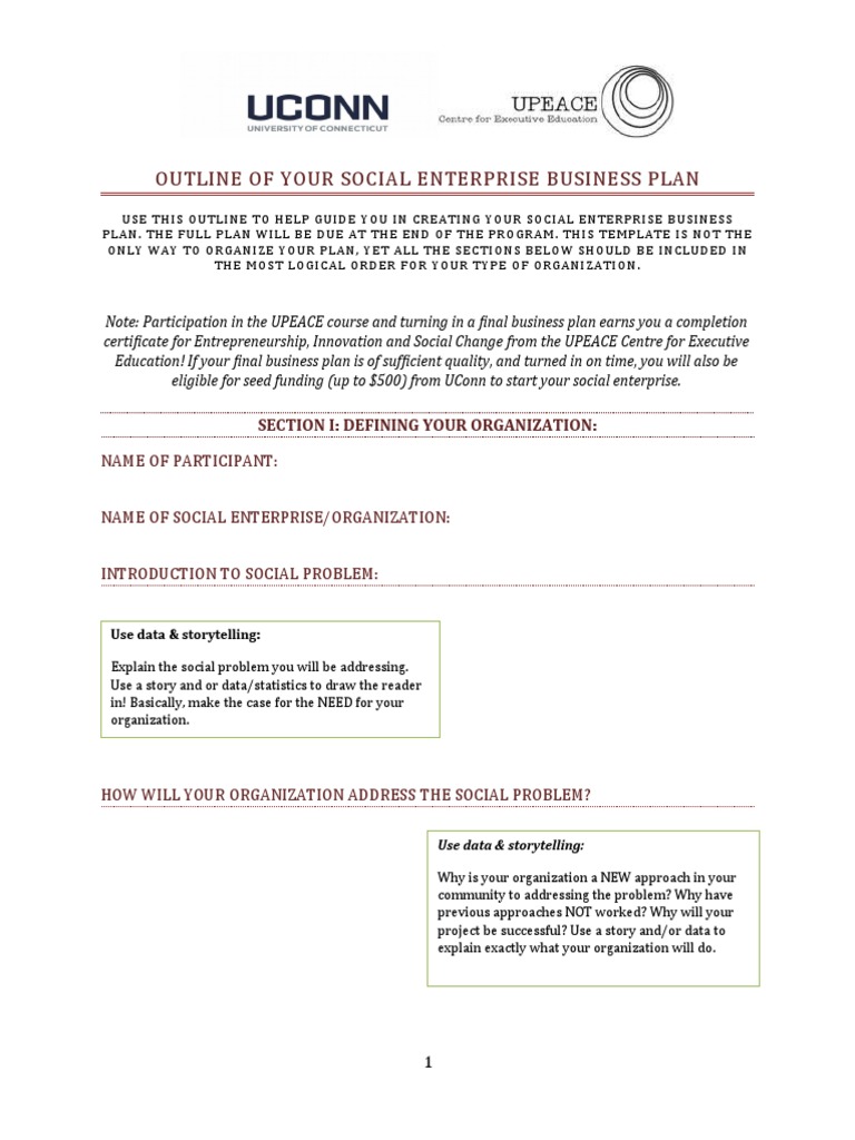 Outline of Social Business Plan (2019) | PDF | Social Enterprise ...