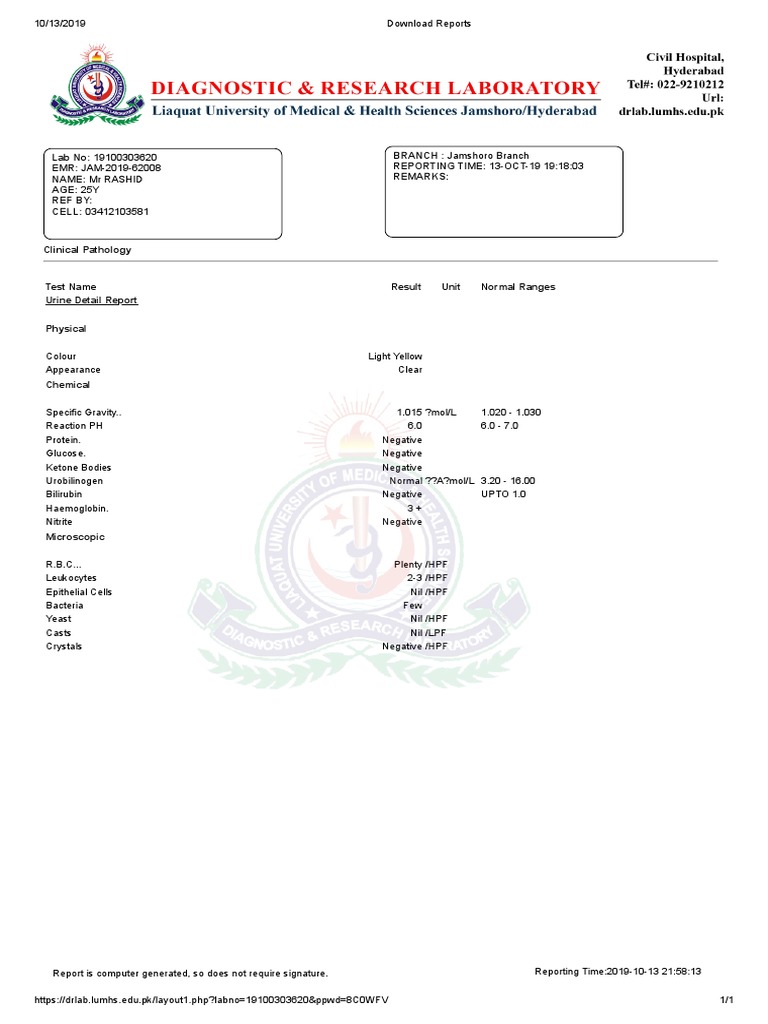 Urine DR Report | PDF