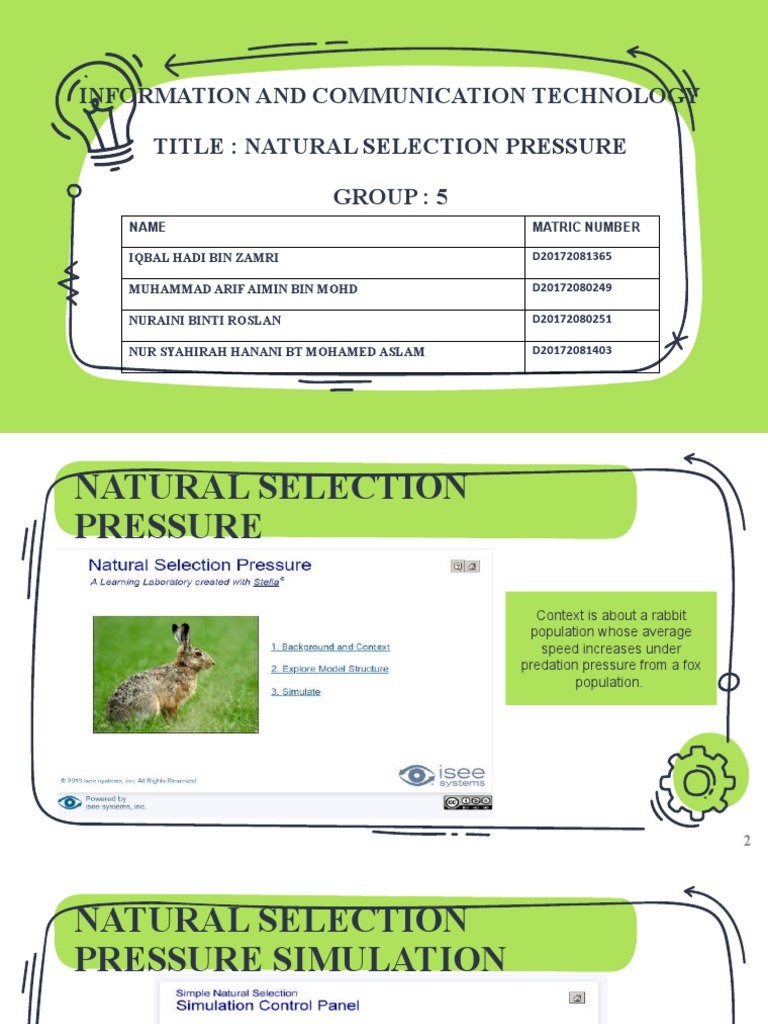 Natural Selection Pressure in Rabbits | PDF