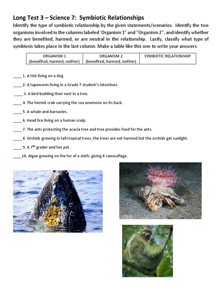 Long Test 3 - Sci 7 | PDF