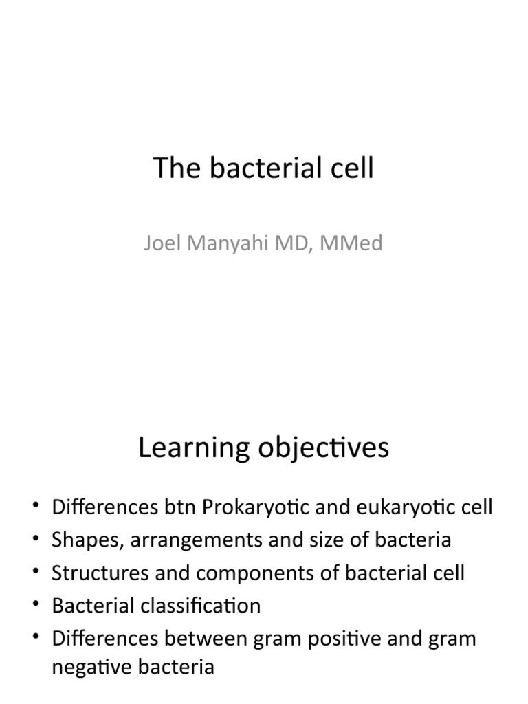 The Bacterial Cell | PDF | Bacteria | Gram Positive Bacteria