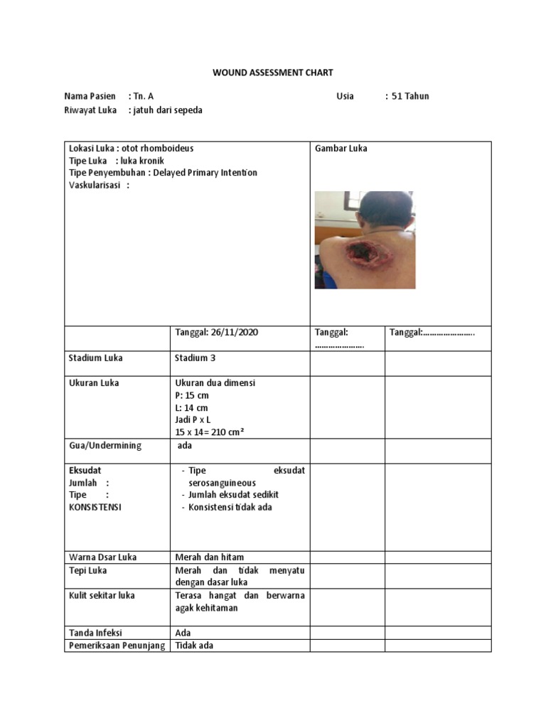Wound Assessment Chart Agung | PDF