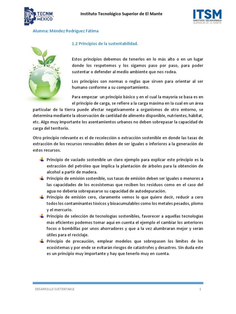 1.2 Principios de La Sustentabilidad | PDF | Sustentabilidad | Desarrollo sostenible