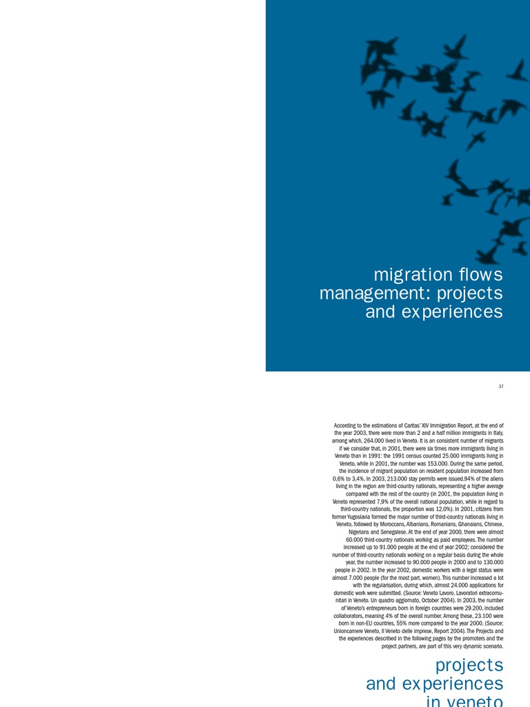 Migration Flows Management: Projects and Experiences: Migrest Inglese ...