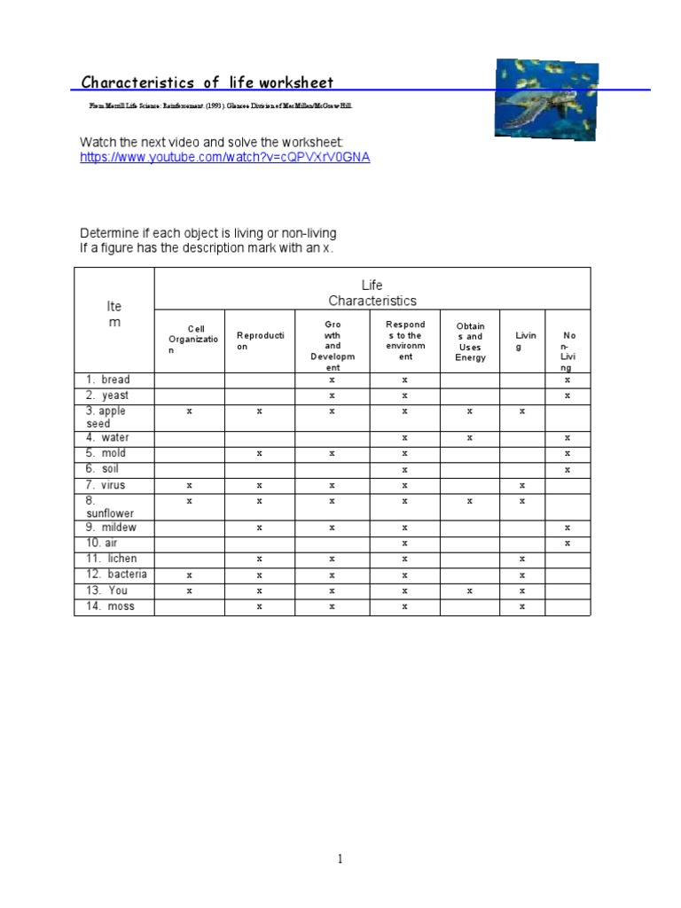 Characteristics of Life Worksheet | PDF | Organisms | Life