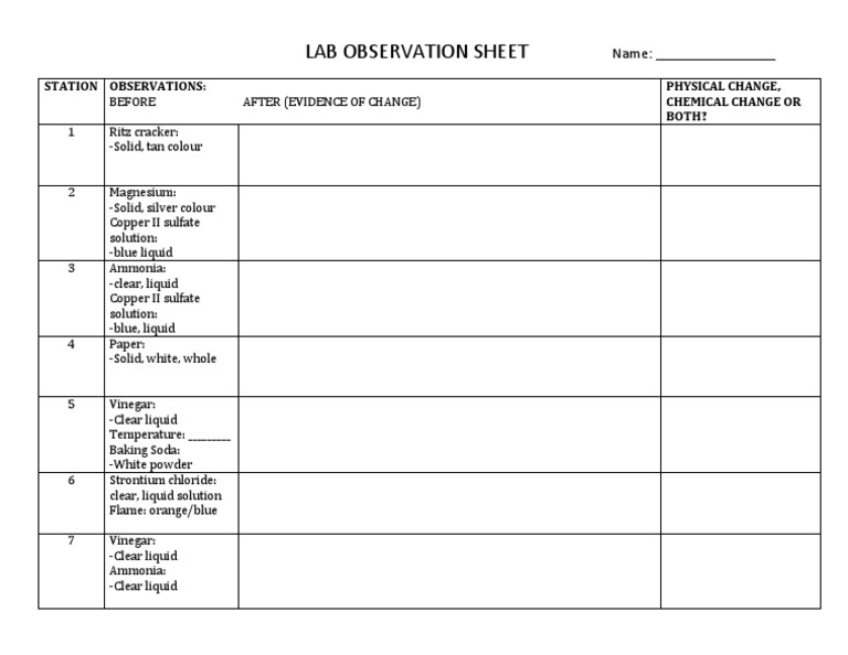 Physical Chemical Change Lab Observation Sheet | PDF