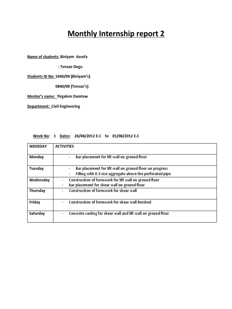 Monthly Internship Report 2 (Biniyam Assefa and Tensae Degu) | PDF ...
