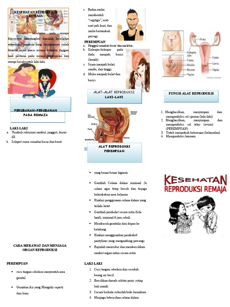 Leaflet Kesehatan Reproduksi Remaja | PDF