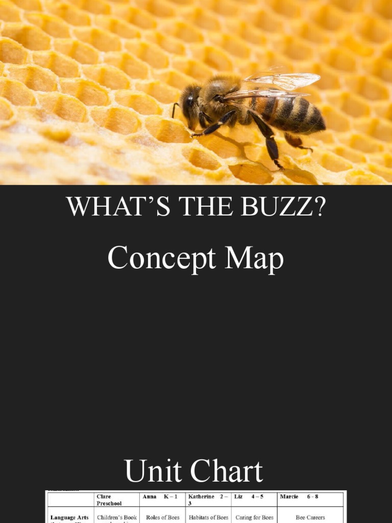 Bee Curriculum | PDF