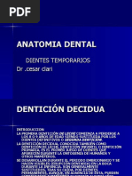Cíngulo Dental: Revisión y Funciones | PDF | Boca | Odontología