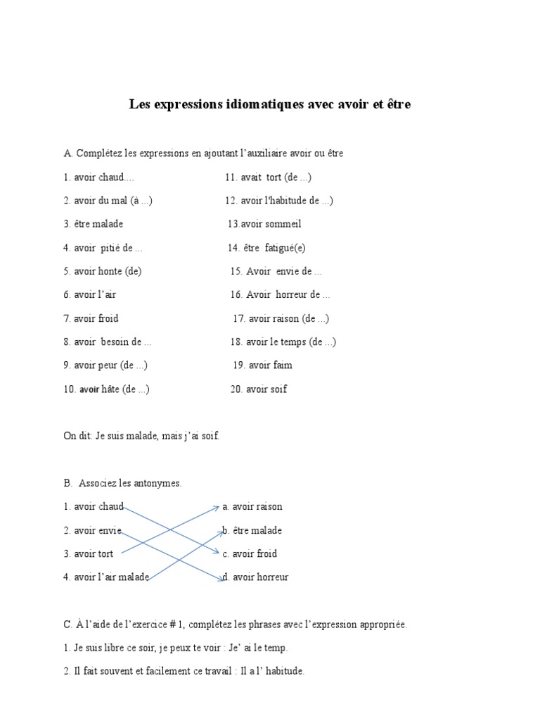 Expressions idiomatiques avec avoir et être | PDF | Échecs | Boissons